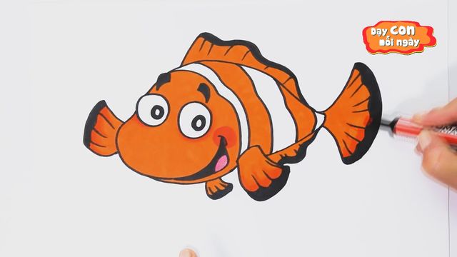 Cẩm nang hướng dẫn cách vẽ con cá hề đơn giản và dễ hiểu