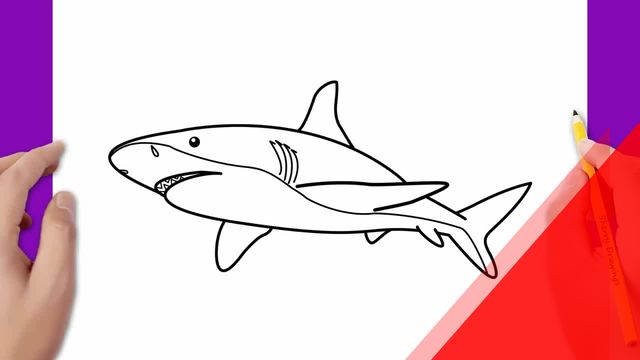 Tutorial cách vẽ con cá mập bằng bút chì đơn giản và dễ dàng